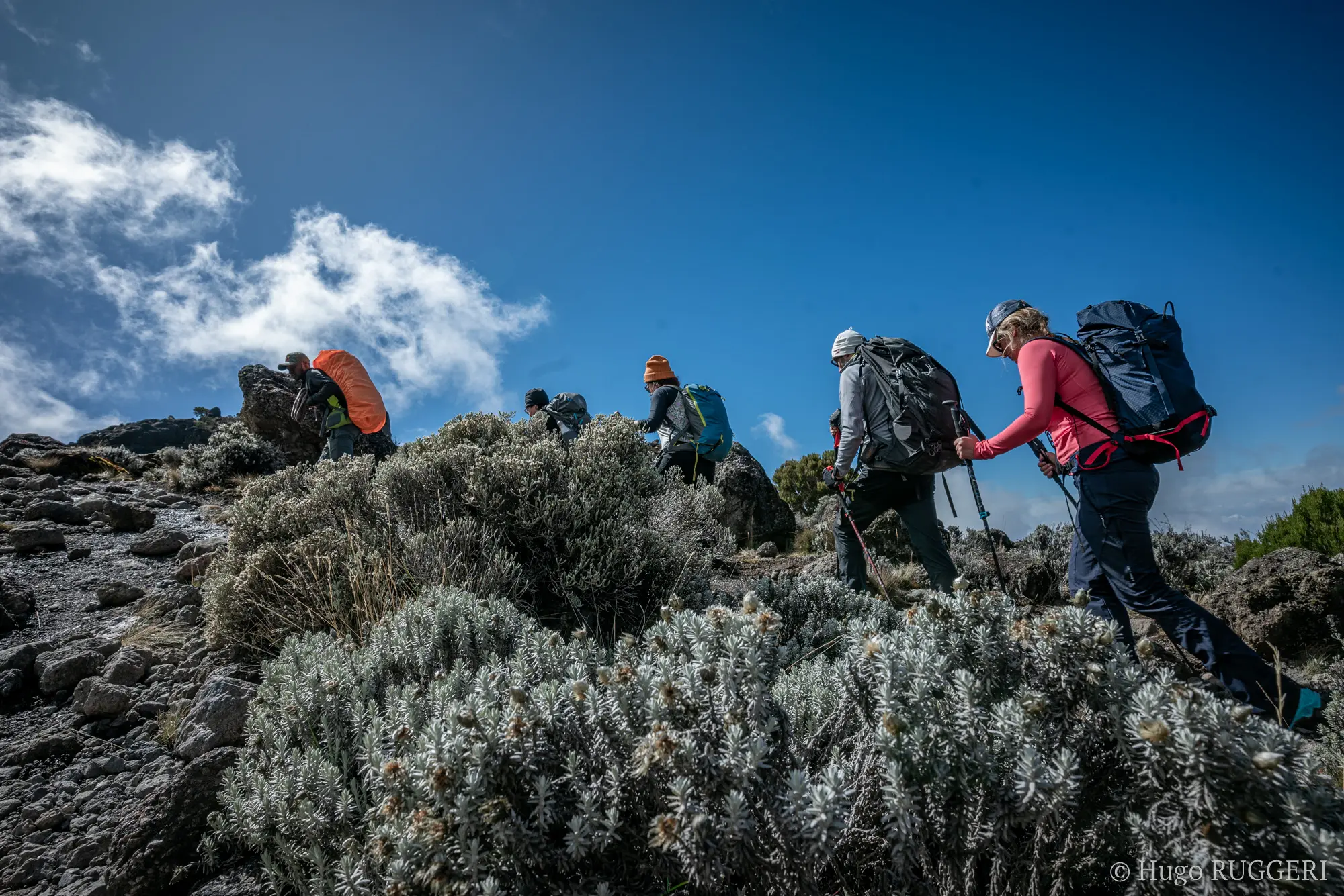 RONGAI | Kilimandjaro